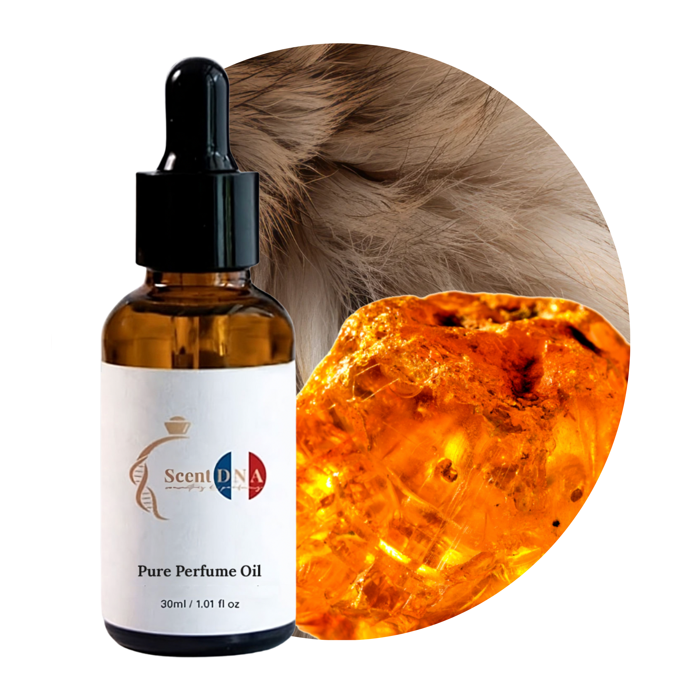 Amber Animalic Perfume Oil – Scent DNA KSA