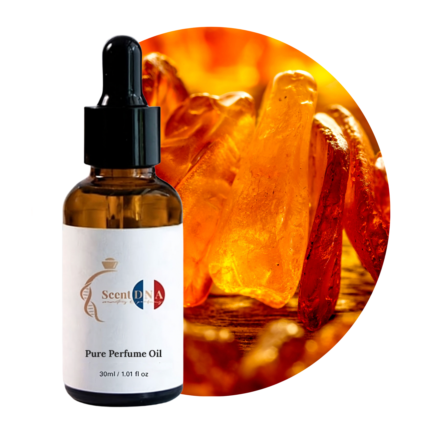 Scent DNA Saudi Arabia – Scent DNA KSA